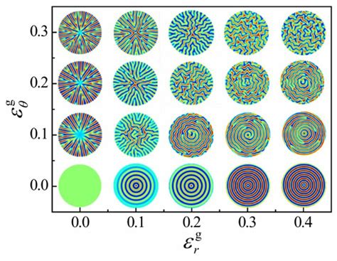 Complexity Of Morphological Structures Which Emerge In Simulations Of Download Scientific