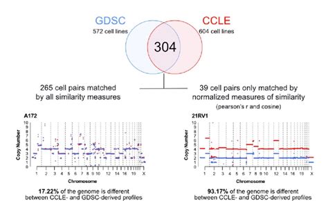 Summary Of Cnpare Performance When Used To Correctly Match 304 Gdsc Download Scientific Diagram