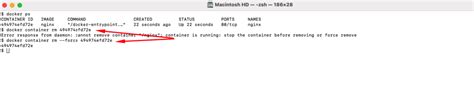 Docker How To Start Stop And Remove Containers Devtutorial