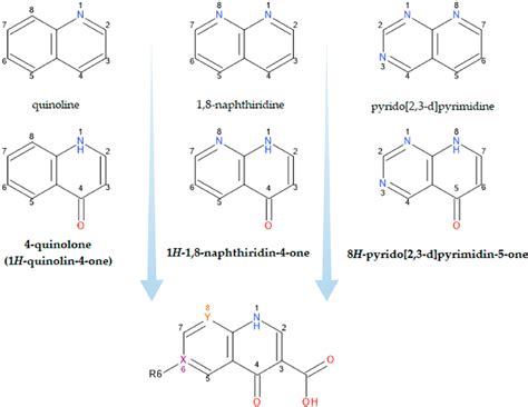 Figure 1 From Fluoroquinolones Hybrid Molecules As Promising Antibacterial Agents In The Fight
