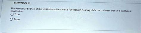 Solved Question 20 The Vestibular Branch Of The Vestibulocochlear