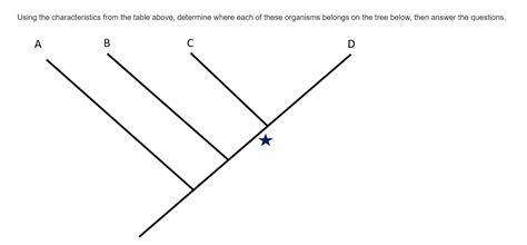 solved constructing a phylogenetic tree now you are going
