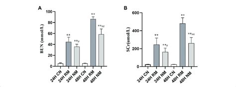 Effect Of Nm On Serum Bun And Scr Levels In Riaki A The Effect Of Nm Download Scientific