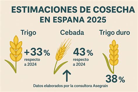 Asegrain Estima Una Cosecha De Trigo Y Cebada En España De 192
