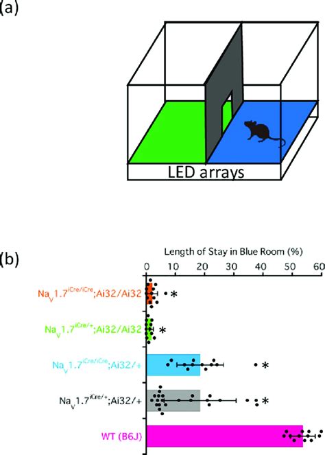 Opa Test A Experimental Schematic B The Opa Test Was Performed Download Scientific