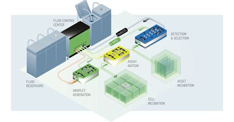 Efficient Robotics Launches A Commercial Fully Automated Microfluidic