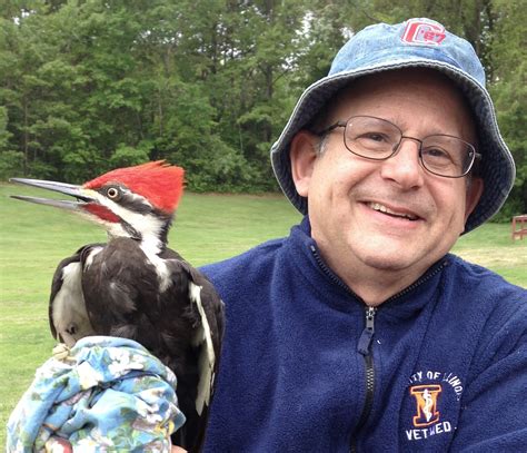 Pileated Woodpecker Size Comparison