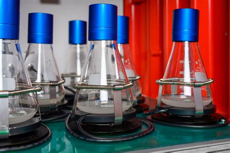 Microbial Screening In Shake Flasks Scientific Bioprocessing