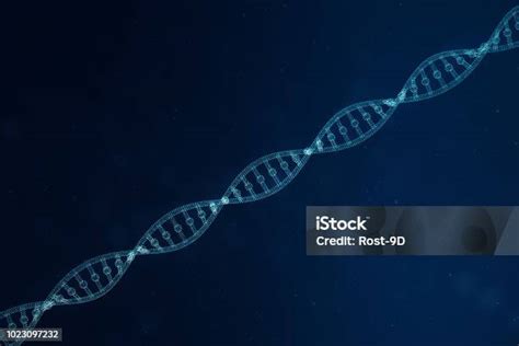 디지털 Dna 분자 구조 개념 이진 코드 인간 게놈 수정 된 유전자는 Dna 분자 3 차원 일러스트 레이 션 3차원 형태에 대한