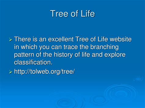 PPT Tree Of Life PowerPoint Presentation Free Download ID 3085802