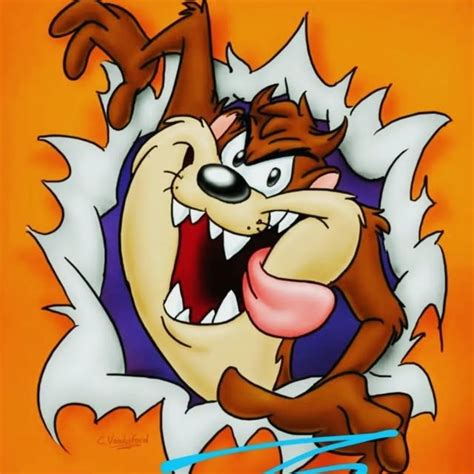 T Z 03 Tazma • Threads Say More