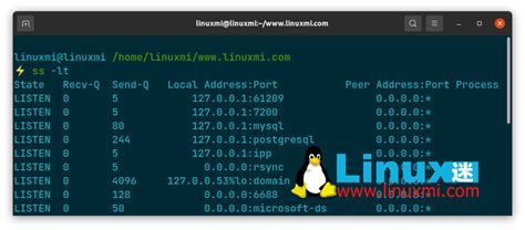 linux 下 12 个监视网络连接的 ss 命令示例 linux迷