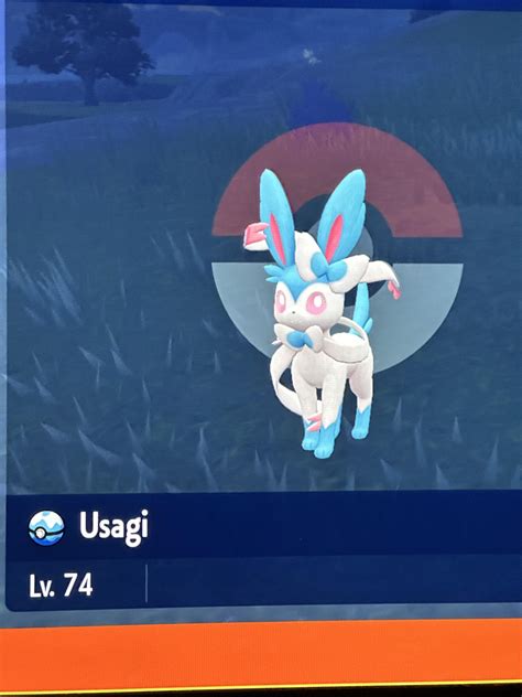 [9] Got An Xxl Shiny Sylveon Female I Didnt Have A Love Ball Didnt Know What To Put It In