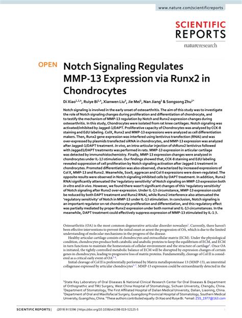 Pdf Notch Signaling Regulates Mmp 13 Expression Via Runx2 In Chondrocytes