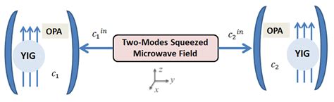Schematic Diagram Of A Double Cavity Magnon System Where Both The Download Scientific Diagram