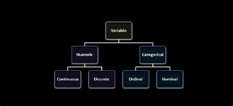 Basic Statistics Explore Your Data Cases Variables Types Of Variables
