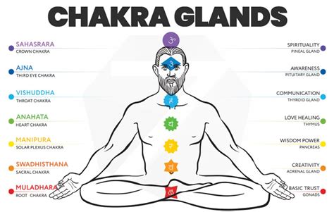 💌 36호 현실에 두 발 딛고 잘 사는 5가지 방법