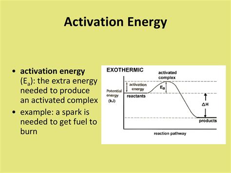Reaction Rates And Equilibrium Ppt Download
