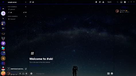 Make You A Custom Discord Theme By The Tech Person Fiverr