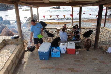 Wereldwijf Karin Op Naar Hawaii Het ‘beloofde Eiland Wereldwijven