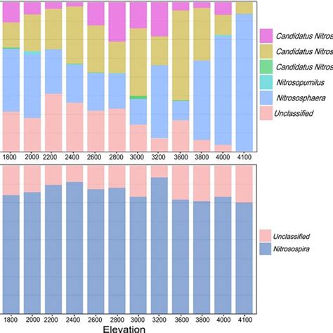 The Distributions Of Ammonia Oxidizing Archaeal Aoa And Download
