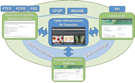 System Structure Of The CiF The CiF Consists Of Three Components
