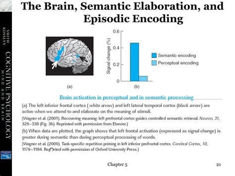 Ppt Encoding And Retrieval From Long Term Memory Powerpoint Presentation Id 1071748