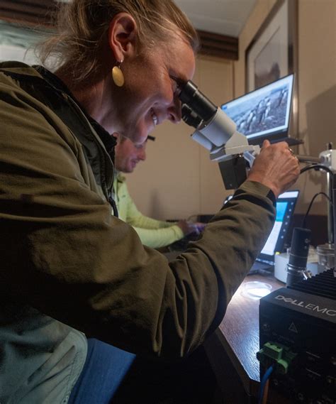 Dell Services For The Edge Dell Uk