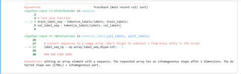 tokenize labels function in assignment natural language processing