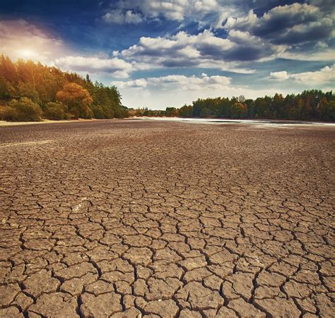 The Impact Of Drought In South Africa Research Grade 11 Geography