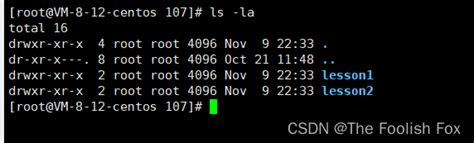 【linux修炼手册:基本指令(上)】 Csdn博客 【linux修炼手册:基本指令(上)】 Csdn博客