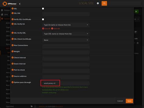 Visual Guide To Opnsense Multi Site With Haproxy Unbound Marcus Holtz