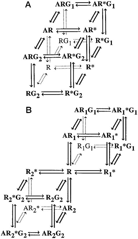 Cubic Ternary Complex Models A The Cubic Ternary Complex Model Of