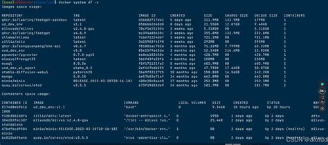 docker 清理和查看镜像与容器占用情况 查看docker images 空间占用的空间大小 csdn博客