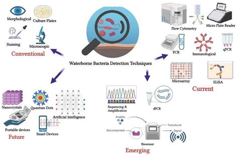 Detection And Control Of Waterborne Pathogens Classnotes Ng