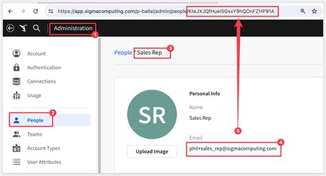 Sigma REST API Recipes