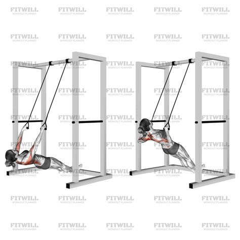 Inverted Row With Straps Exercise Guide Video Techniques Benefits
