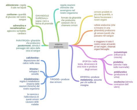 Sistema Endocrino Coggle Diagram