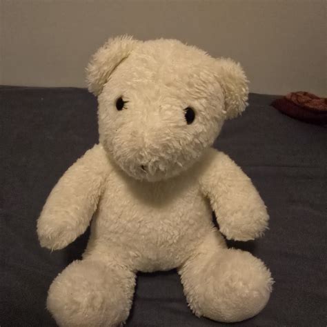 Custome Segmantation Instance Segmentation Dataset And Pre Trained Model By Reza