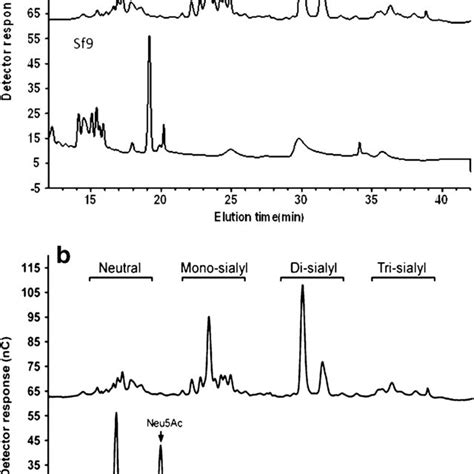 Hpaec Analyses Of N Glycan Profile Of Srage Cho And Srage Sf9 A The