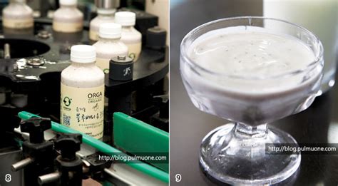 아미산에서 뛰노는 유기농 소와 건강한 우유 산지탐방 올가 자연방목 유기농 우유 목장