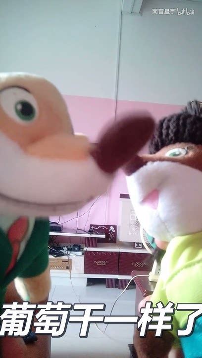 想知道袋鼠先生和袋鼠小姐的故事吗？ Youtube