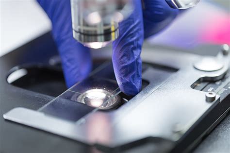 실험실에서 화학 샘플에 대 한 현미경을 사용 하 여 의료 실험실 과학자 손 장면 아래에 대한 스톡 사진 및 기타 이미지 아래