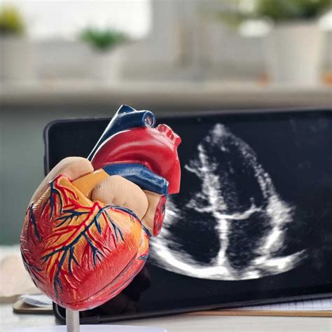 Overview Of Echocardiograms And Their Importance