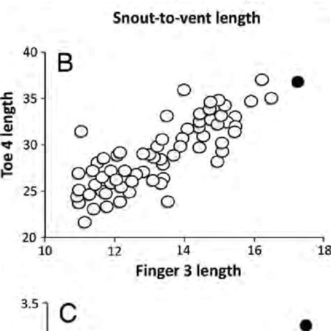 Bivariate Plots Of Selected Body Proportions In Mm Demonstrating