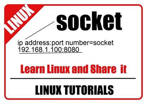 Linux Socket Detail Tutorial Learn Linux Ccna Ccnp Ceh Cissp Cisa