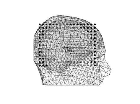 Forward Modeling For Eeg Source Reconstruction Fieldtrip Toolbox