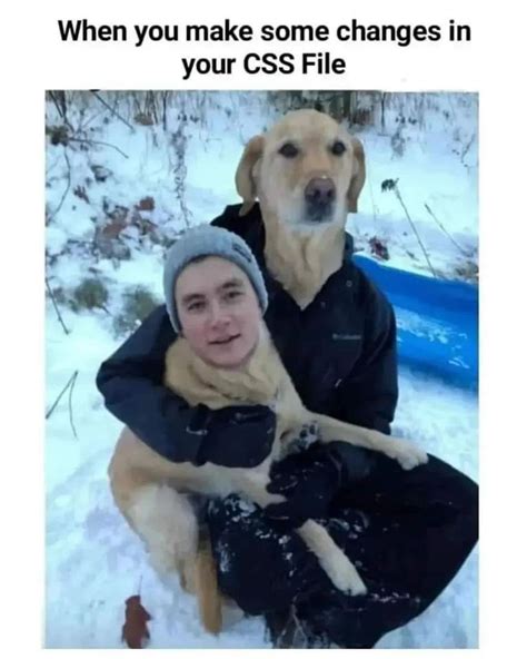 Shaik Mujeeb On Linkedin Coding Programming Codingmemes Css Html