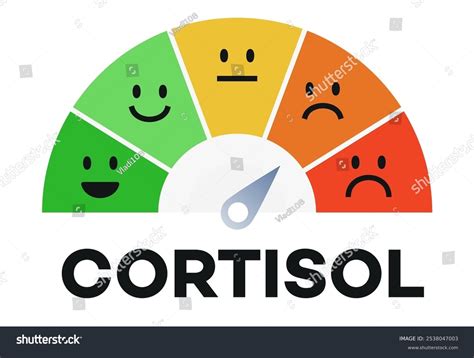 Cortisol Scale Level Meter Dashboard Stock Vector Royalty Free
