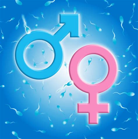 Sex Determination Photograph By David Nicholls Fine Art America